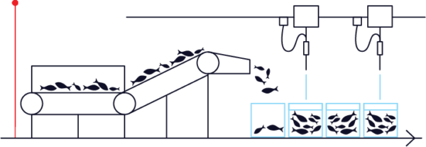 Farmed Fish Chiller Solutions | Deepchill® Aquaculture Cooling