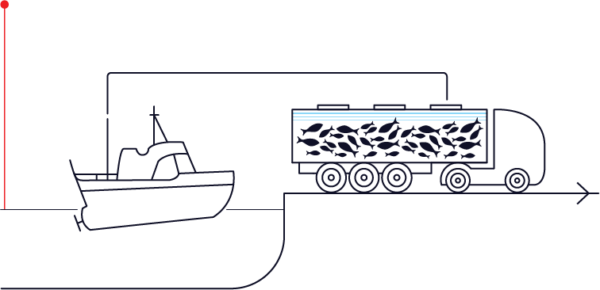 Farmed Fish Chiller Solutions | Deepchill® Aquaculture Cooling